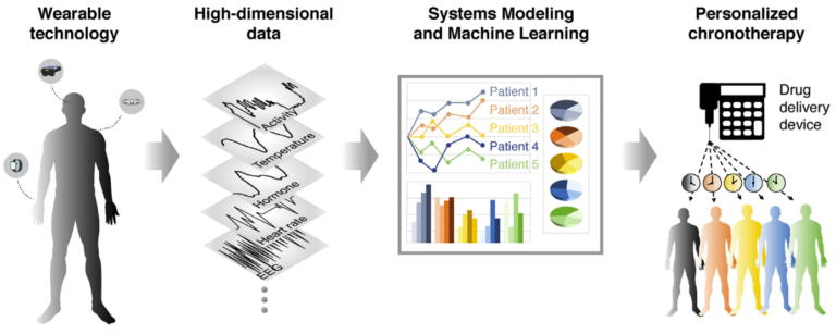 Research Aim - Biomedical Mathematics Group