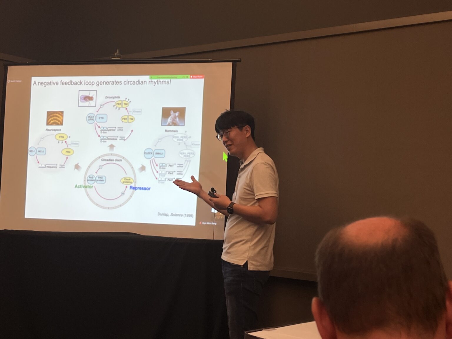 News - Biomedical Mathematics Group