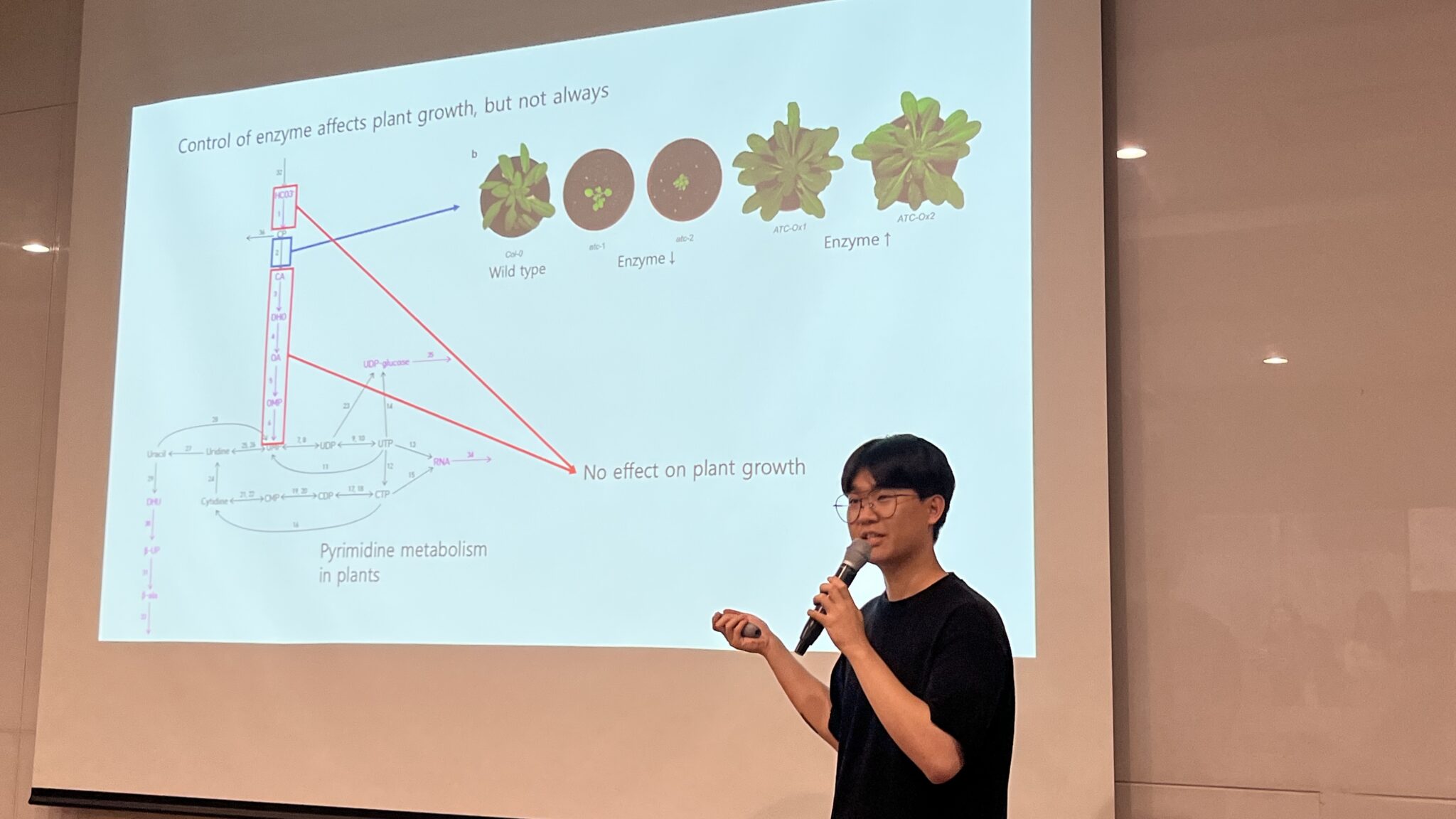 Undergraduate students from the Department of Mathematics, Pusan ...