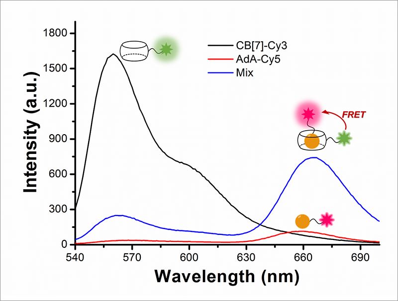 기초과학연구원