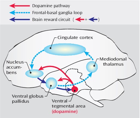 뇌 감정 체계와 정신적 삶의 질(자크 판크세프 Jaak Pankesepp) : 네이버 블로그
