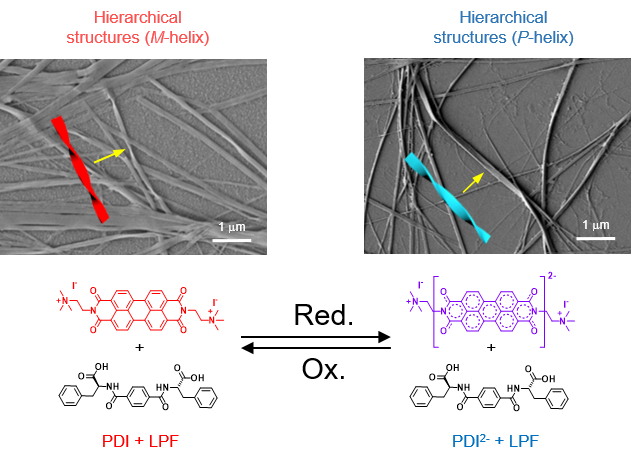 ‘Sound’ly Segregated Supramolecular Helices
