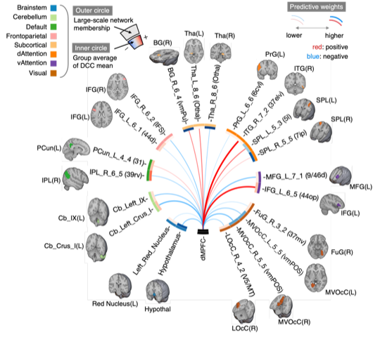 Predicting Rumination Based on Brain Connectivity