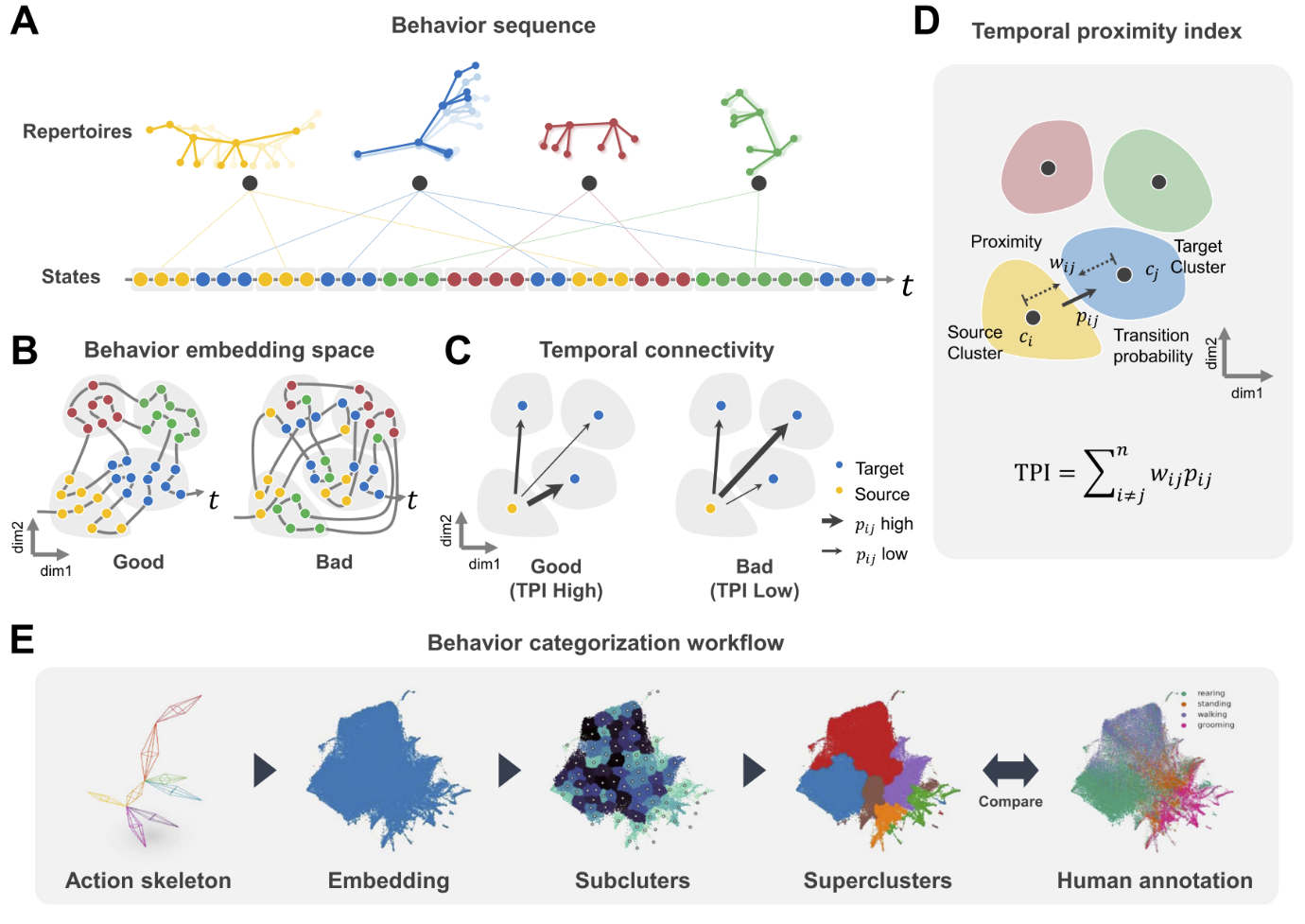 New AI Tool Developed for Advanced Animal Behavior Analysis