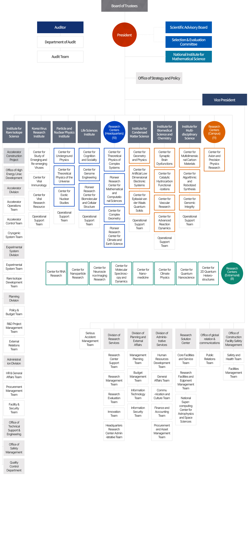 Organization Chart | Organization | About IBS