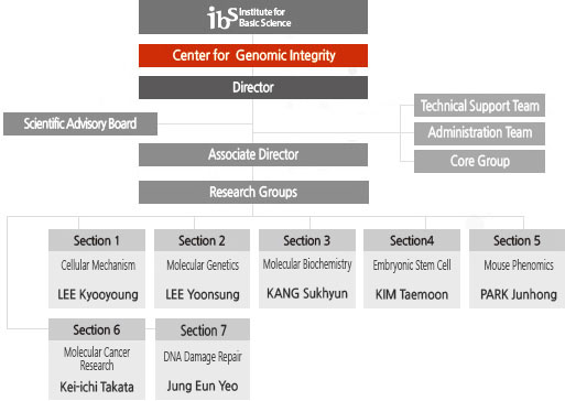 Center for Genomic Integrity | Life Sciences | Research Centers